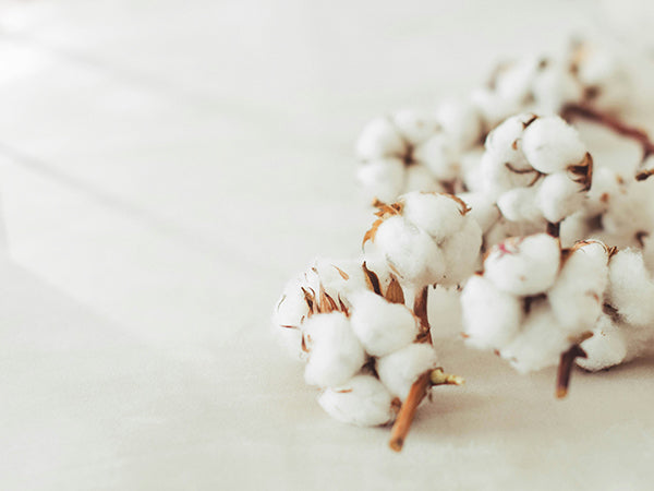 Nothing But Cotton – Comfneat
